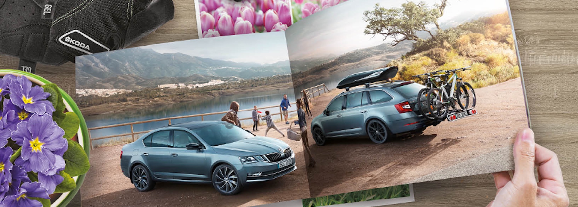 Unicars - Pricelists